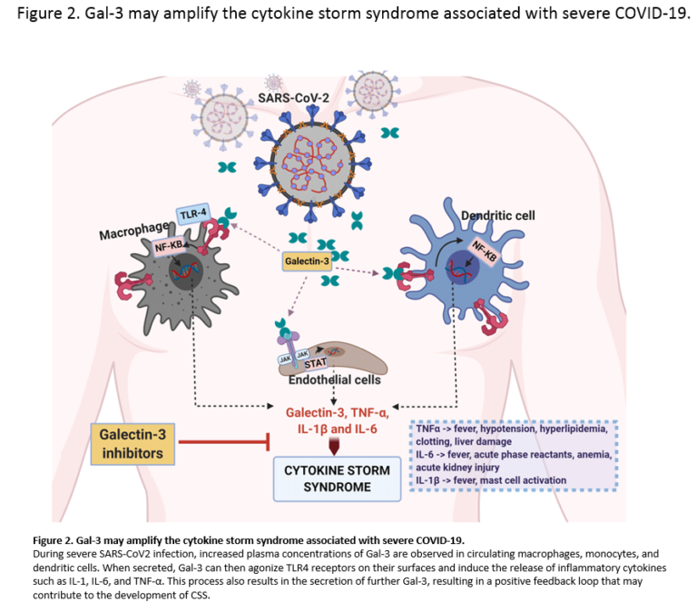 EmergingGrowth.com Reports on Why Galectin Therapeutics is Due for a ...